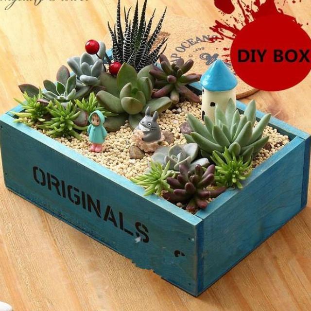 Bonsai Wooden Storage Box for home accent - wanahavit